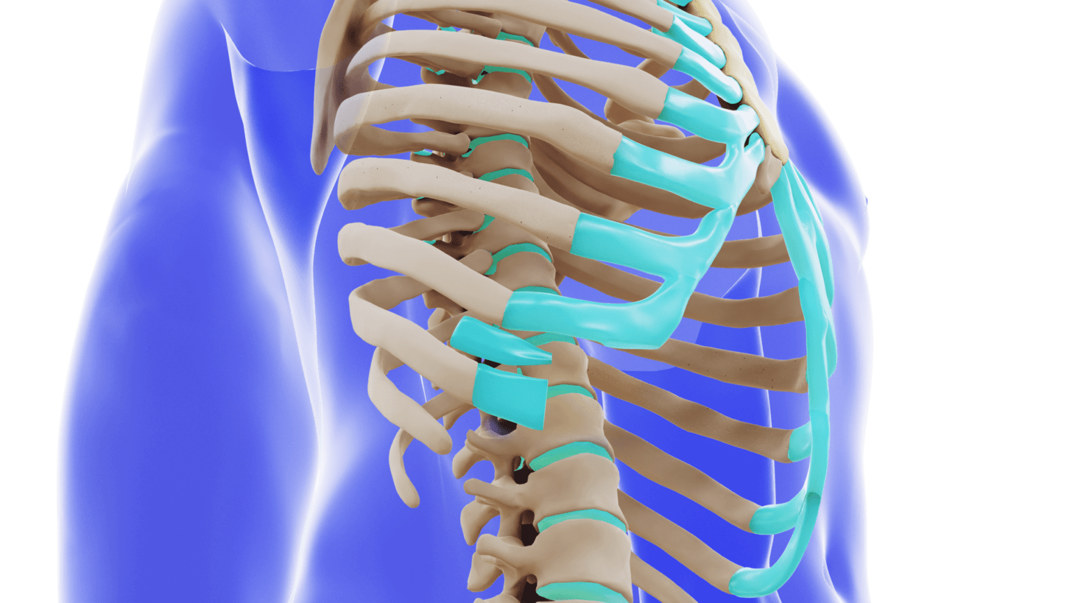 What is SRS | Slipping Rib Syndrome